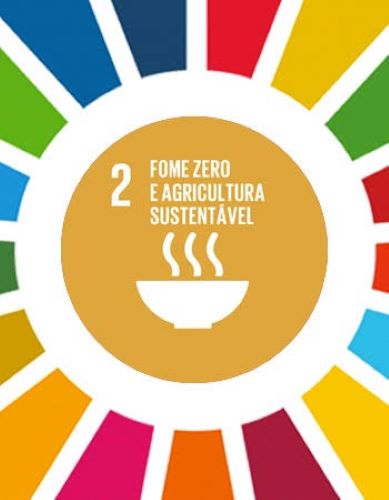 Fome Zero e agricultura sustentavel